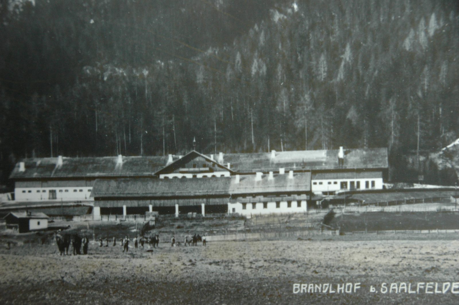 Hotel Bilder & Videos : Gut Brandlhof Saalfelden, Salzburg